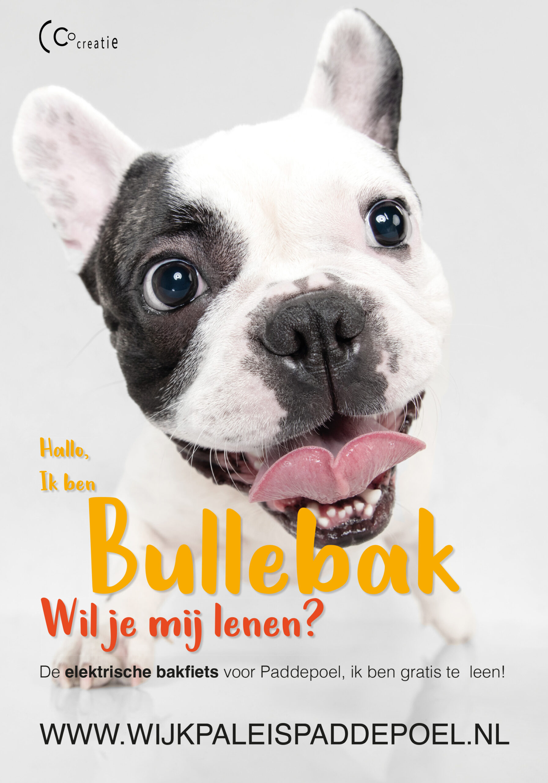 Bullebak nodig? – Wijkpaleis Paddepoel